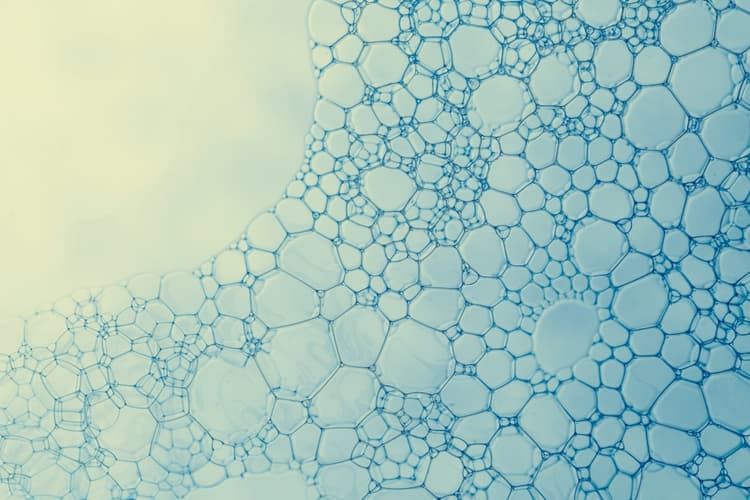 Galaxy: Open-Source Bioinformatics Platform for Data-Intensive Research ...